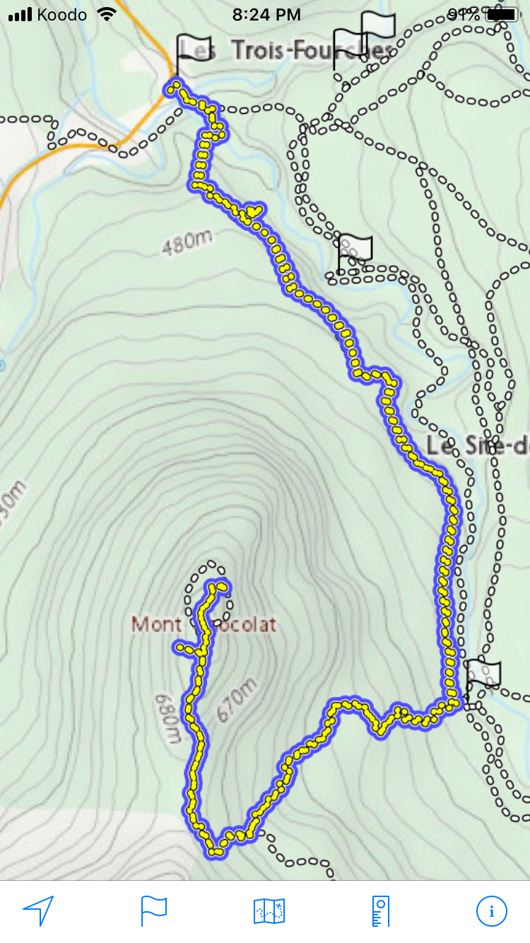 Hiking Mount Chocolate Trail in Massif du Sud Park. - Adventurion